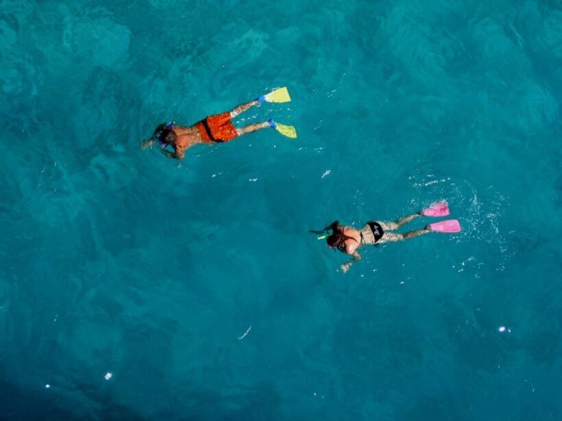 Bay of Islands: Awesome Day Sailing Tour with Island Stop - Practical Tips for Your Trip