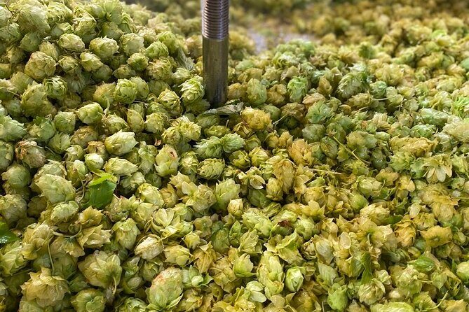 Bay of Islands Craft Beer Brewery Tour and Haruru Falls, Paihia - FAQ