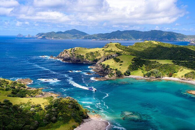 Bay of Islands Discovery Experience from Auckland incl. Hole In The Rock Cruise - Introduction