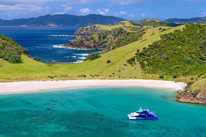 Bay of Islands Discovery Experience from Auckland incl. Hole In The Rock Cruise - Practical Details and Considerations