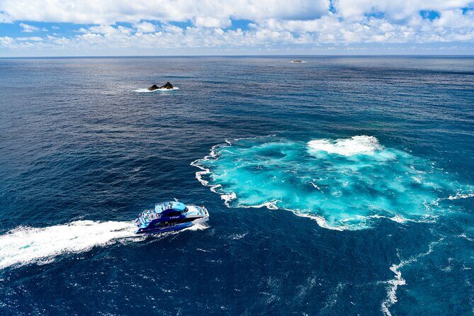 Bay of Islands Explorer Experience Small Group Tour From Auckland - What We Loved About This Tour