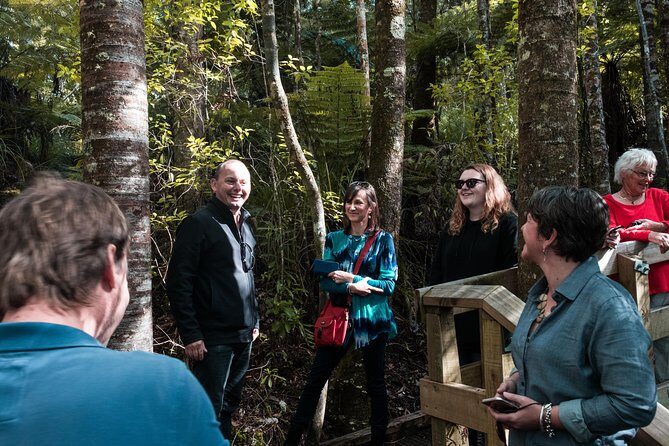 Bay of Islands Glow Worm Caves & Scenic Shore Excursion - An In-Depth Look at the Tour Experience