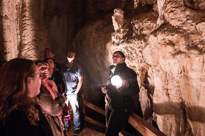 Bay of Islands Glow Worm Caves & Scenic Shore Excursion - The Sum Up