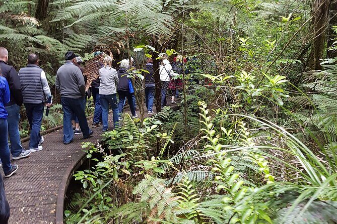 Bay of Islands Shore Excursion: Puketi Rainforest Guided Walk - FAQ
