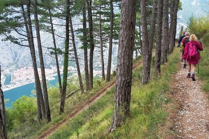 Bay of Kotor hiking experience - Montenegro Travel Club private tour - Authentic Perspectives from Travelers