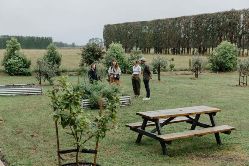 Bay of Plenty: Matahui Distillery Tour - A Complete Look at the Matahui Distillery Experience