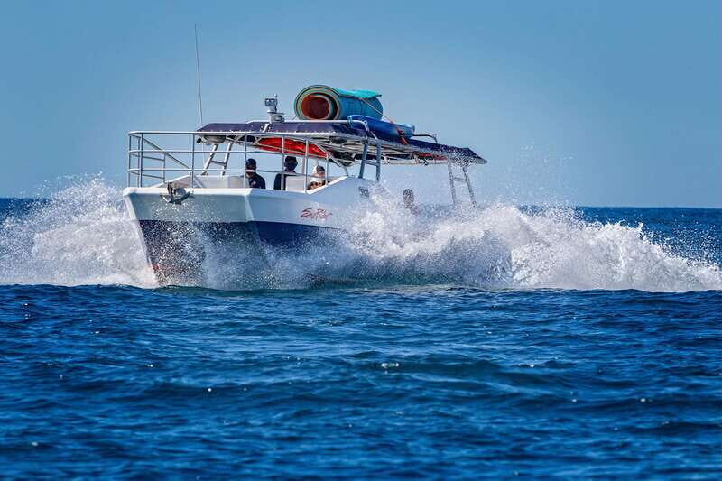 Bay trip and the Arch of Cabo San Lucas - The Experience: Details and Dynamics