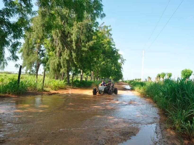 Bayahibe and Altos de Chavón: Guided 5-hour Buggy Tour - Key Points