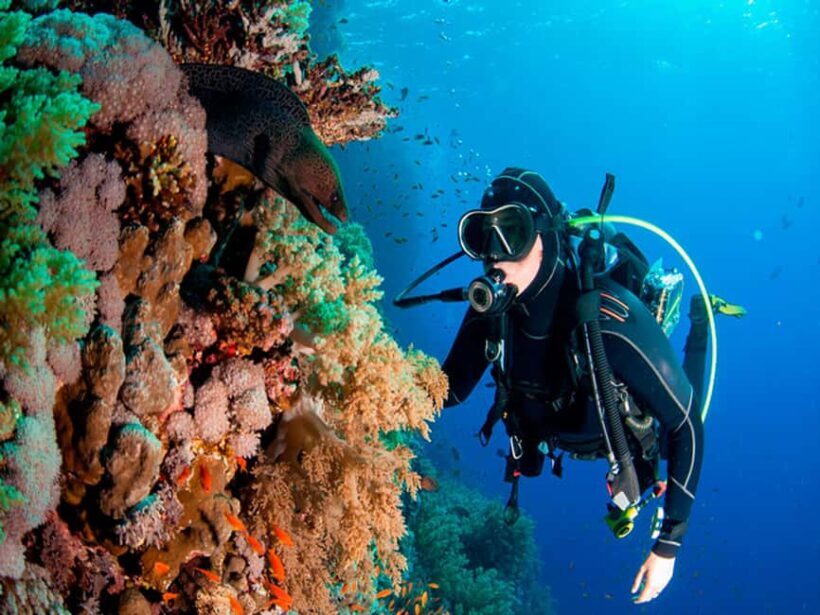 Bayahibe: Catalina Island Scuba Diving Tour with Lunch - Key Points