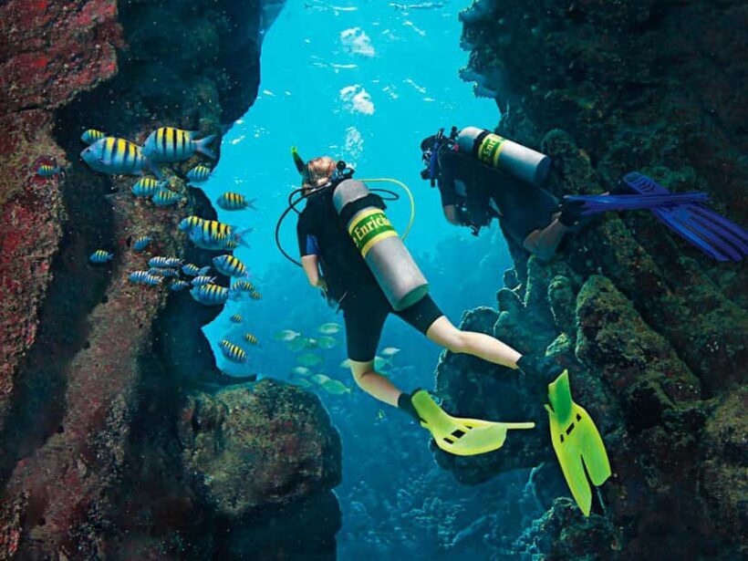 Bayahibe: Catalina Island Scuba Diving Tour with Lunch - What Makes This Tour Special?