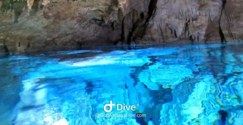 Bayahibe - Cenotes Scuba Diving - Godive Bayahibe - Introduction