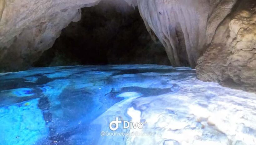 Bayahibe - Cenotes Scuba Diving - Godive Bayahibe - Key Points