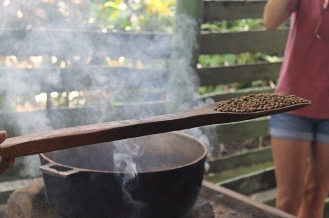 Bayahibe Countryside Safari from La Romana - Final Thoughts