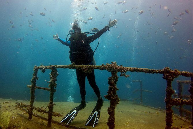 Bayahibe Diving - Key Points