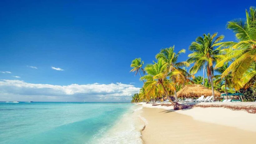 Bayahibe: Full-Day Saona Island Excursion - The Itinerary in Detail