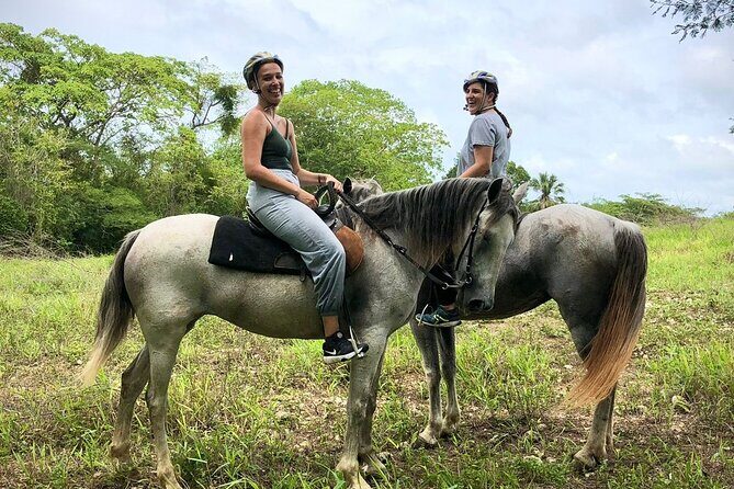 Bayahíbe Horseback Riding & River swimmig - Who Should Consider This Tour?