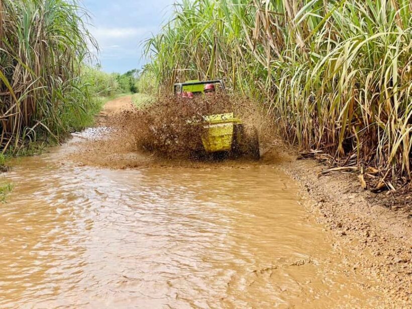 Bayahibe: Jungle Off-Road Buggy Adventure - What to Expect on the Bayahibe Jungle Off-Road Buggy Adventure