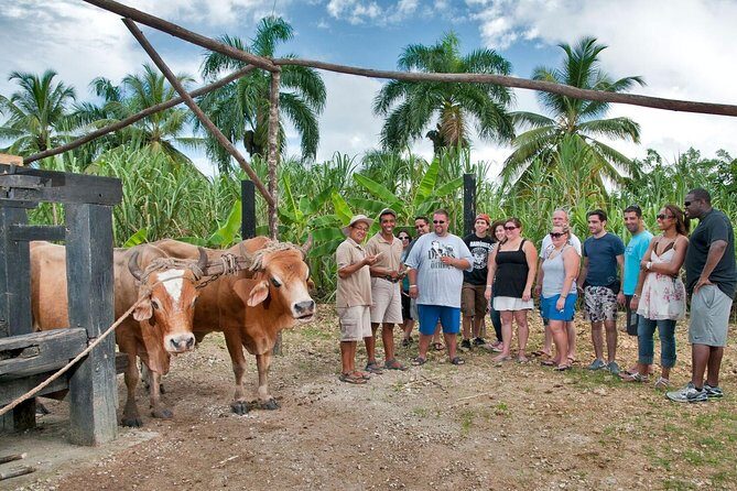 Bayahibe La Romana Discovery Full Day Tour - Key Points