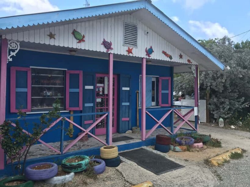 Bayahibe: Monkeyland and Country House Tour with Pickup - Starting with a Scenic Ride Through the Countryside