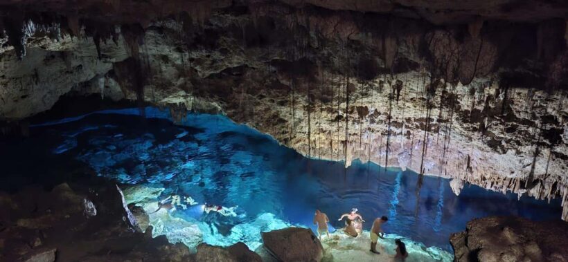 Bayahibe: National Park Jungle Walk & Snorkeling in Cenotes - An In-Depth Look at the Experience