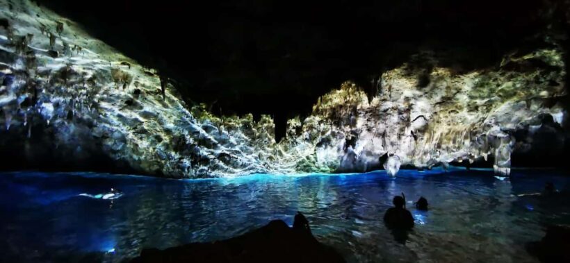 Bayahibe: National Park Jungle Walk & Snorkeling in Cenotes - Final Summary