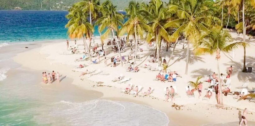 Bayahibe: Samaná and Miches Whale Watching Day Trip - Key Points