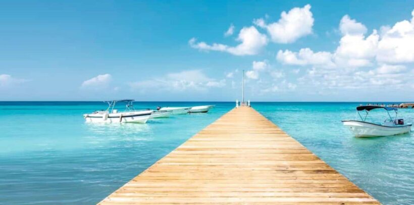 Bayahibe: Samaná and Miches Whale Watching Day Trip - What Makes This Tour Stand Out?