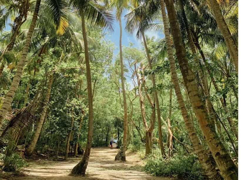 Bayahibe: Saona Island Boat Tour Small Group - FAQ