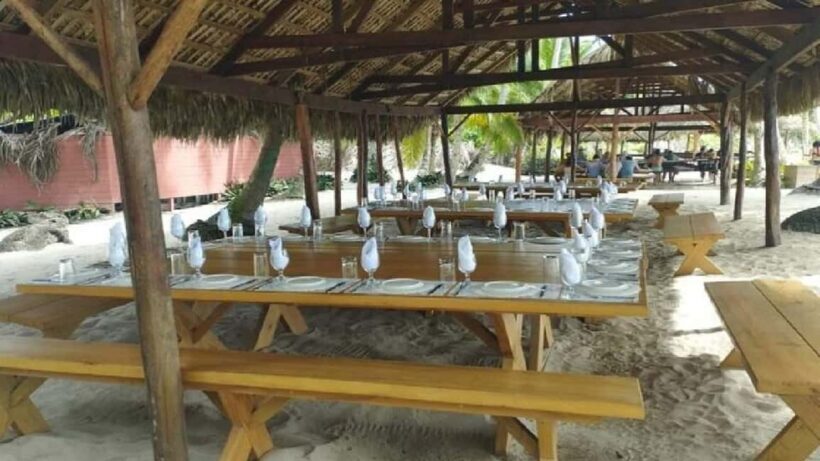 Bayahibe: Saona Island Catamaran Tour with Lunch & Drinks - Final Thoughts