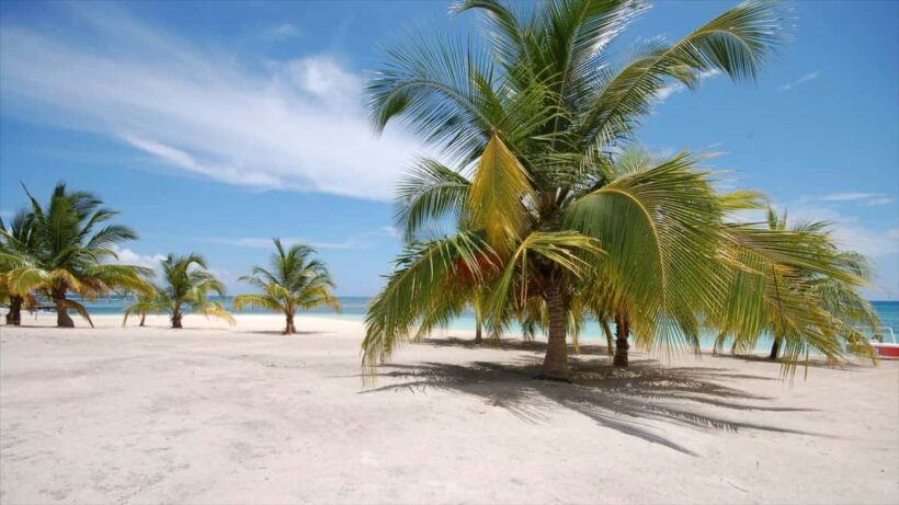 Bayahibe: Saona Island Sailing in catamaran with open bar - Introduction: What to Expect from the Saona Island Catamaran Tour