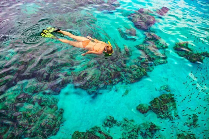 Bayahibe: Snorkeling Tour - Sea, Cotubanama park & Cenotes - Who Would Love This Tour?