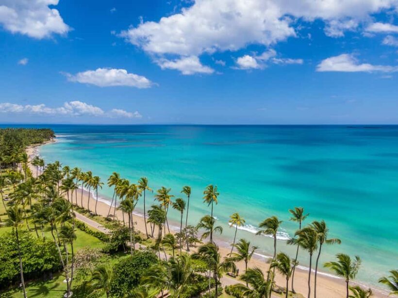 Bayahibe: Whale-Watching Cruise & Cayo Levantado Day Trip - Transportation and Group Size