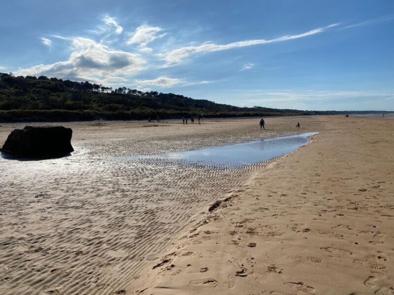 Bayeux: Omaha Beach Highlights Half-Day Tour - A Practical Introduction to the Tour