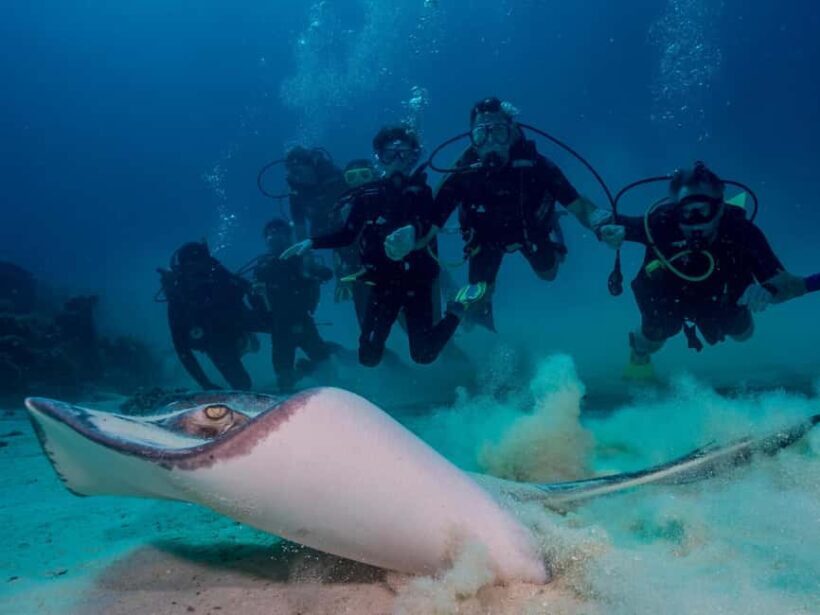 Bayhibe: Private 2 Tank Scuba Dive tour in the National Park - Why Consider This Tour?