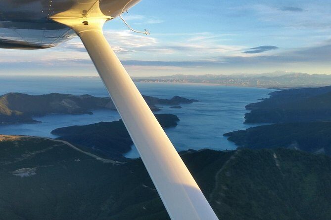 Bays and Bush Flight Scenic Tour - The Experience in Detail: What Makes This Tour Stand Out