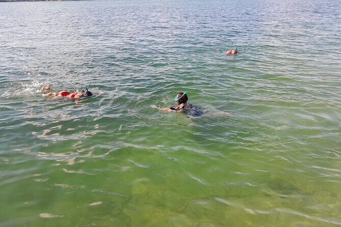 Bayside Market Place Snorkeling for Beginners - What Travelers Say