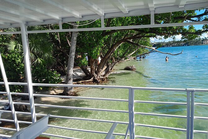 Bayside Market Place Snorkeling for Beginners - Pricing and Value