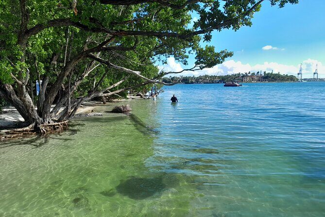 Bayside Market Place Snorkeling for Beginners - Who Is This Tour Best For?