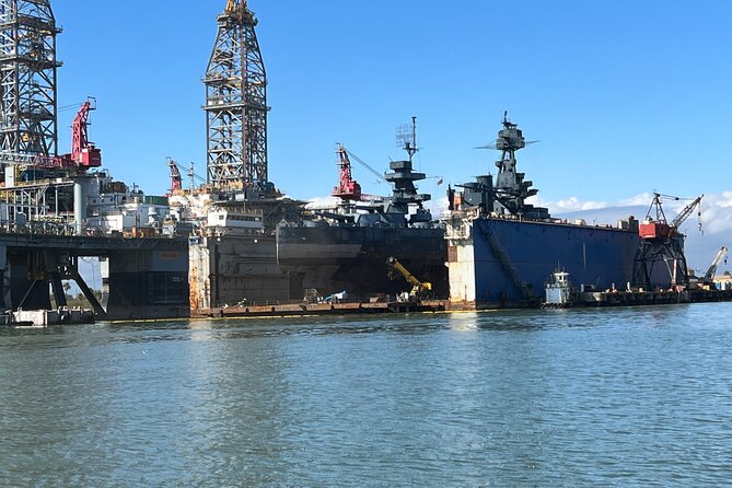 Baywatch Dolphin Tour - Practical Details: What You Need to Know