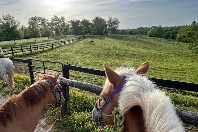 B&C horseback riding in nature and Keeneland racetrack. - Discover Louisville’s Equine Delights: A Full-Day Horse Enthusiast’s Tour