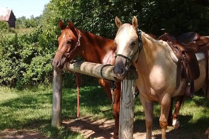 B&C horseback riding in nature and Keeneland racetrack. - Why This Tour Is Worth Considering