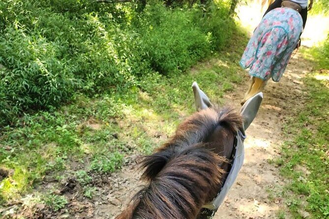 B&C horseback riding in nature and Keeneland racetrack. - Final Thoughts