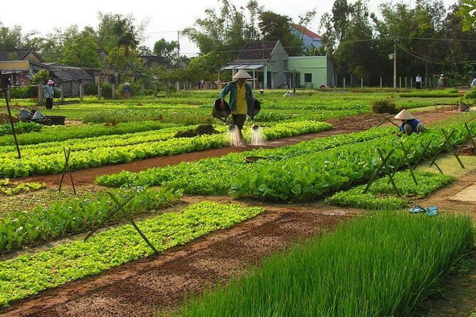 Be a Famer in Tra Que Vegetable Village and lantern making experiences day trip - Introduction