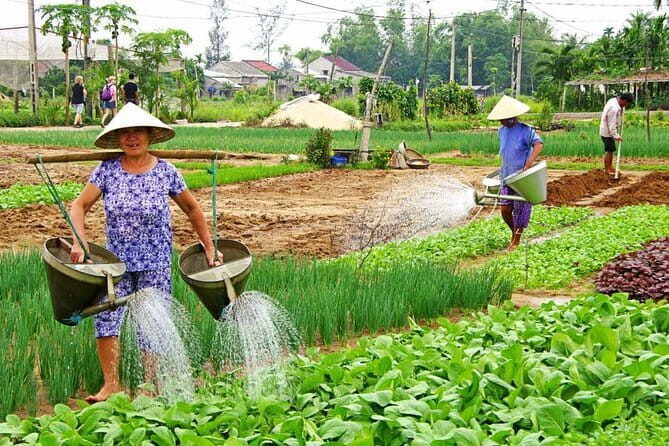 Be a Famer in Tra Que Vegetable Village and lantern making experiences day trip - What Is the Experience All About?