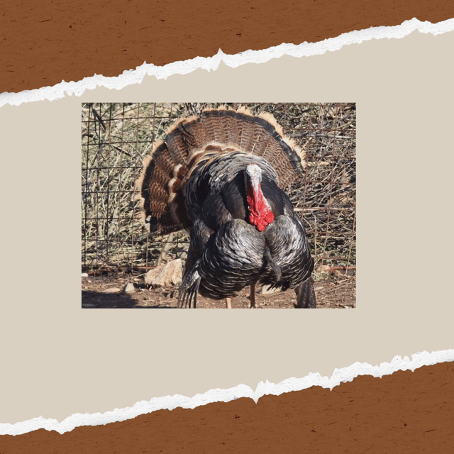 Be A Farmer for A Day in Arevitis Farm! - Practical Details: What You Should Know