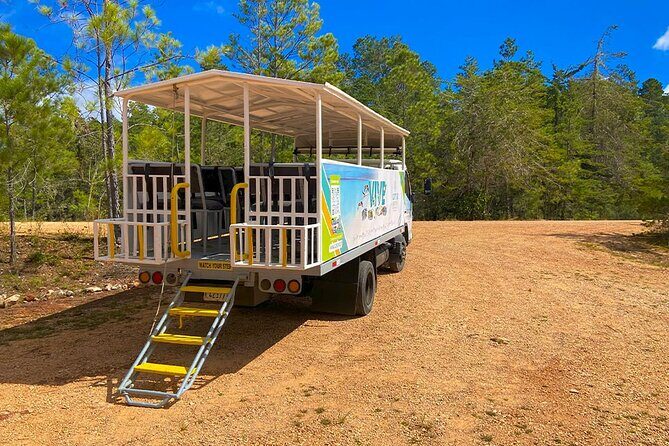 Beach and Adventure Day at the Beach Club in Cabo Rojo - Who Is This Tour Best For?