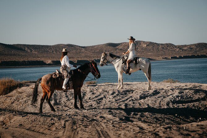 Beach and Desert Scenic Horseback Ride in Baja California Sur - Overview of the Beach and Desert Scenic Horseback Ride in Baja California Sur