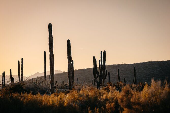 Beach and Desert Scenic Horseback Ride in Baja California Sur - What to Expect on Your Horseback Ride in Baja California Sur
