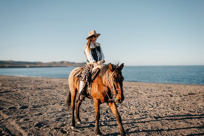Beach and Desert Scenic Horseback Ride in Baja California Sur - Practical Details and Tips