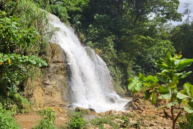 Beach and River Las Pailas Experience - Who Is This Tour Best For?